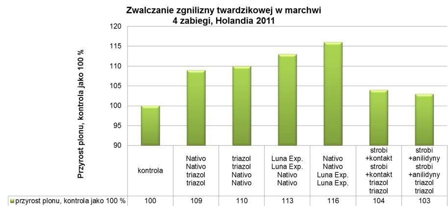 Nowość w ochronie warzyw - Luna Experience® 400 SC - Agrosimex.pl