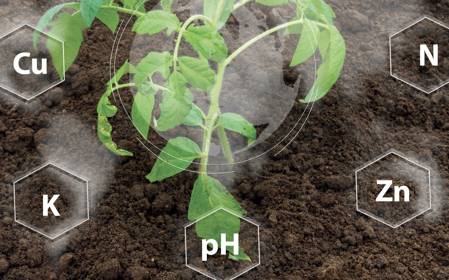 Jak parametry gleby wpływają na dostępność składników pokarmowych ...